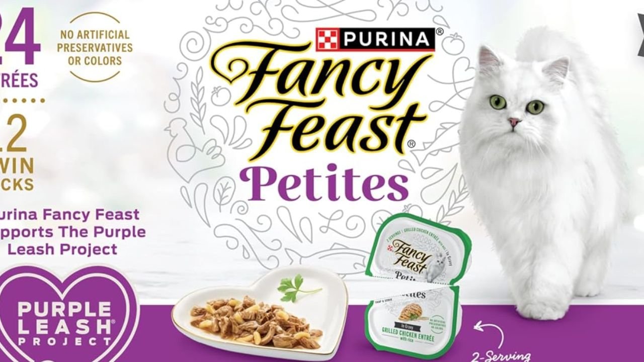 Fancy Feast Shortage Affects Cat Food Availability